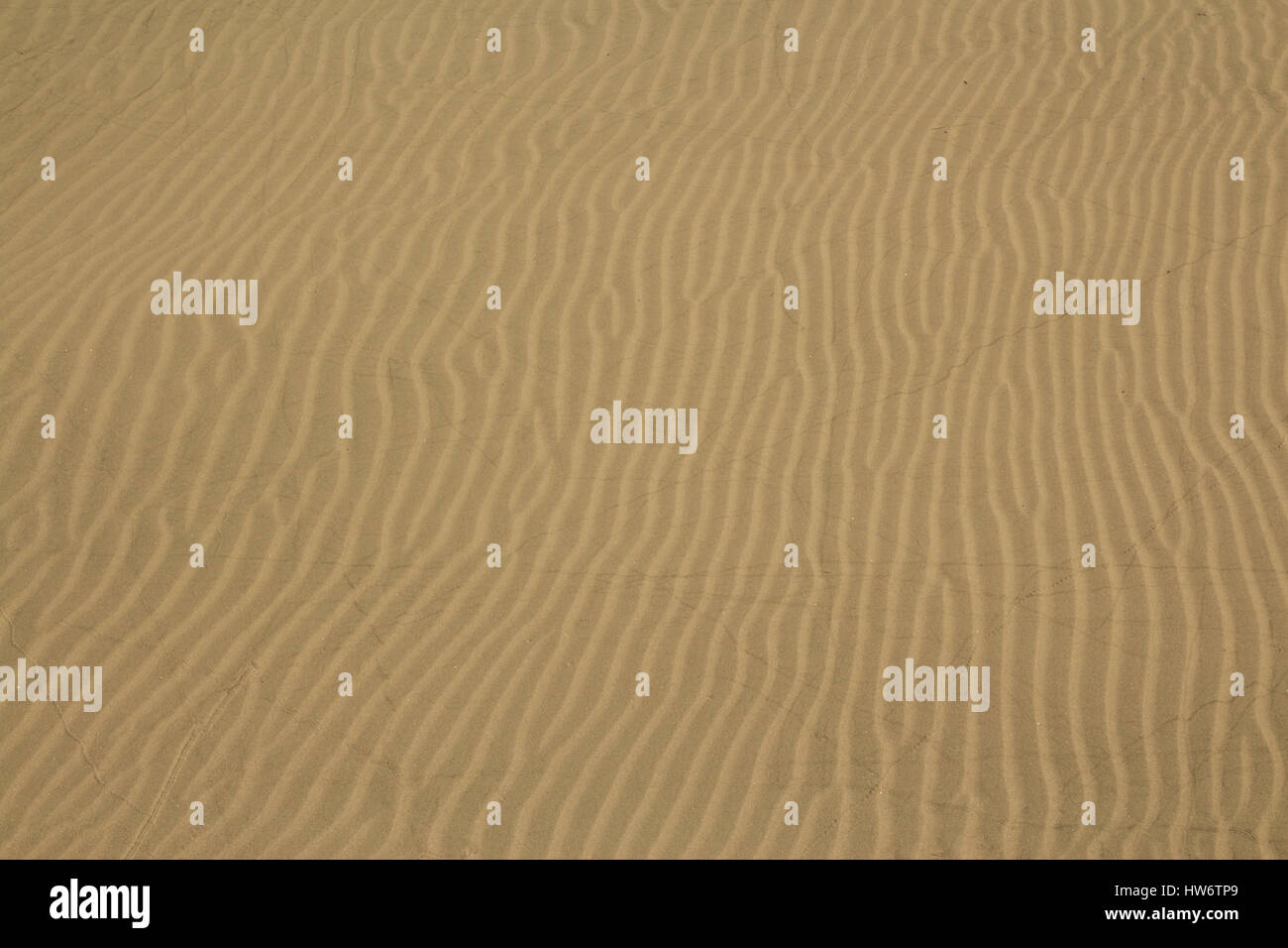Golden color sand with a wave texture to it Stock Photo - Alamy