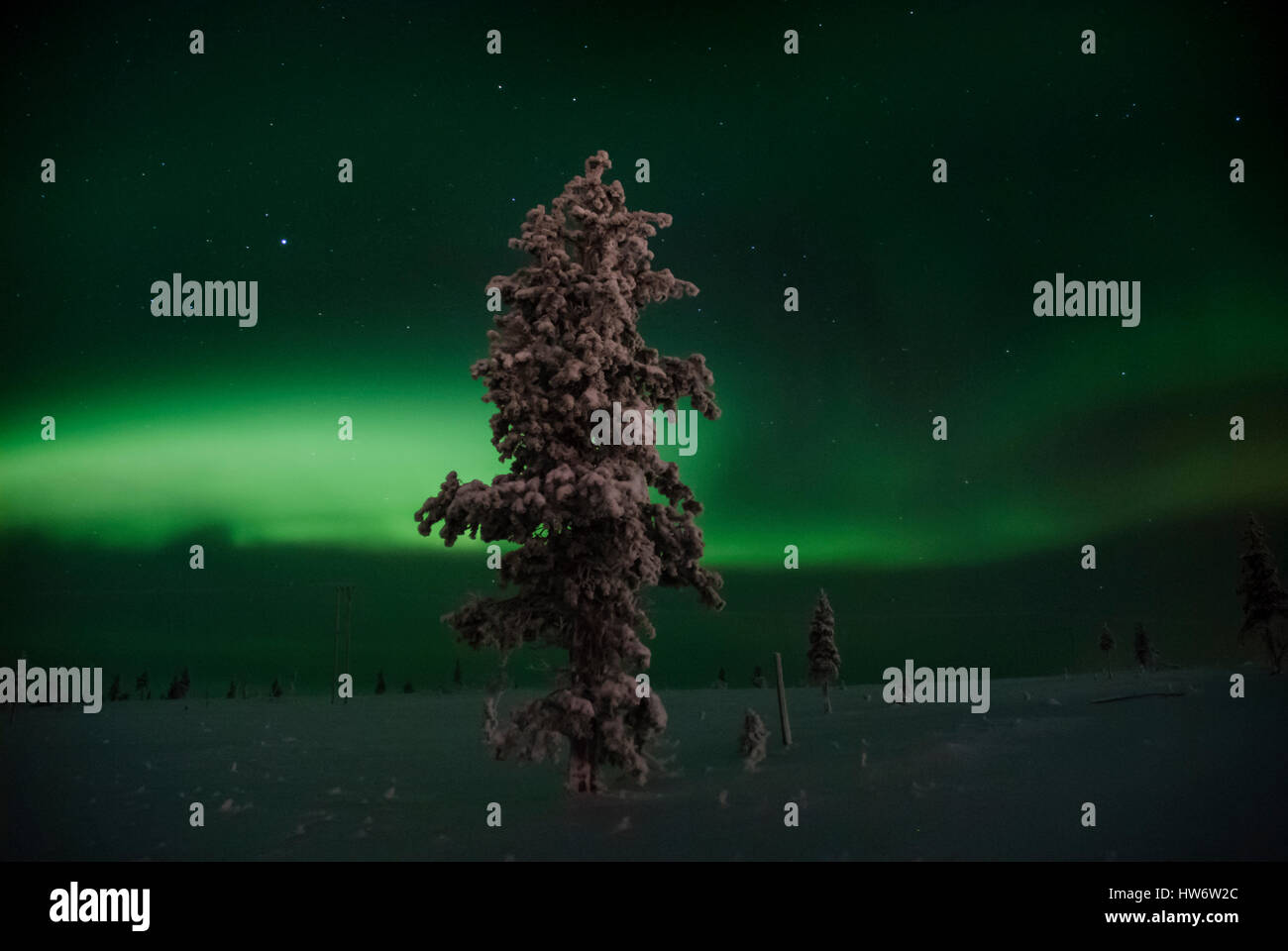 Green screen ice hi-res stock photography and images - Alamy