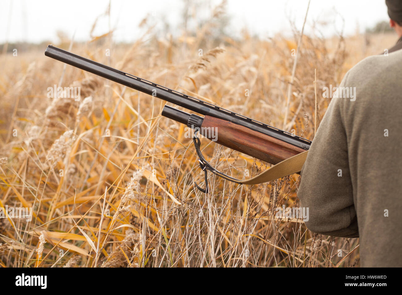 the hunter holds the gun. the man on hunting. hunting for birds Stock ...