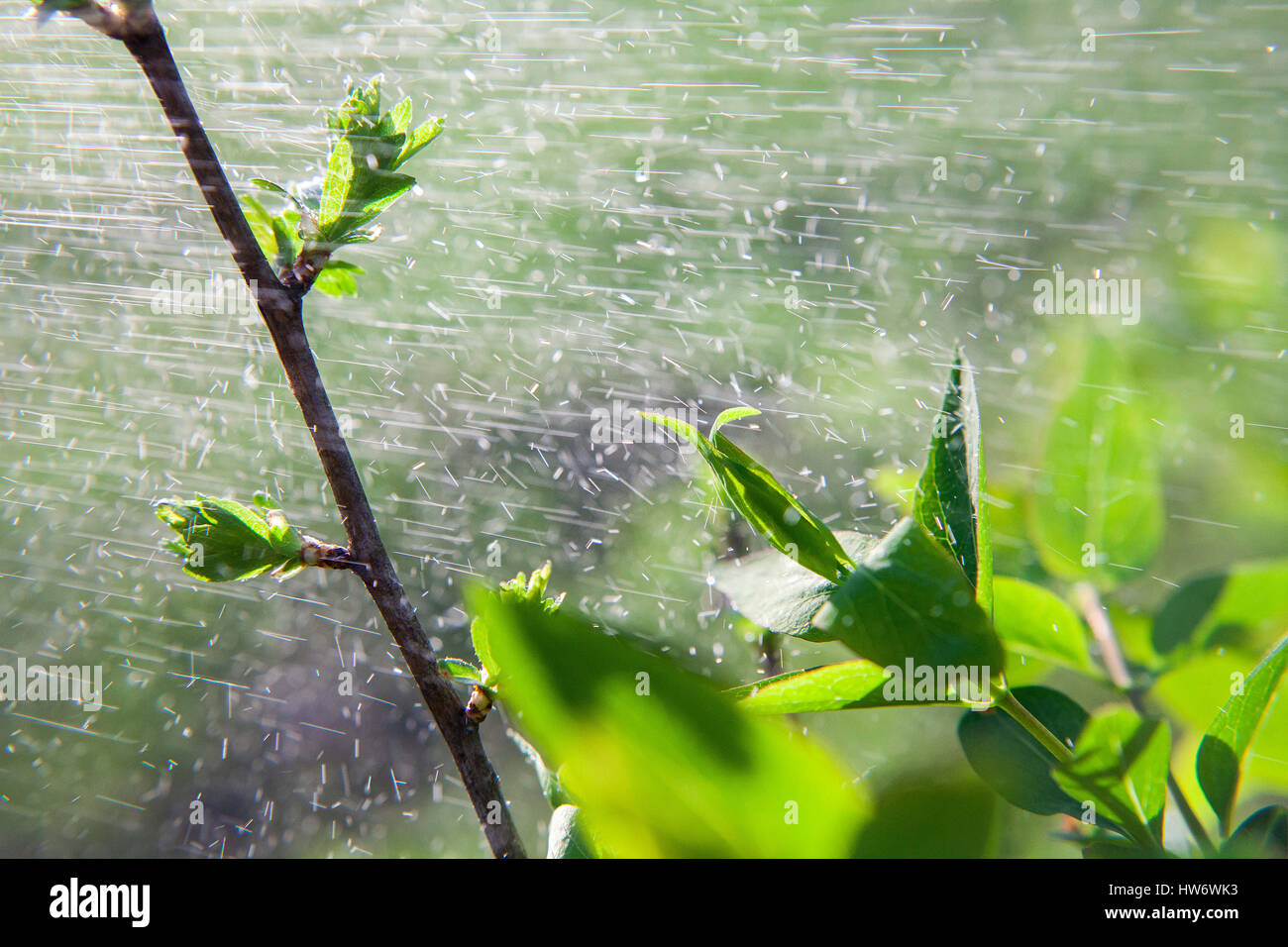 Rain on long exposure hi-res stock photography and images - Alamy
