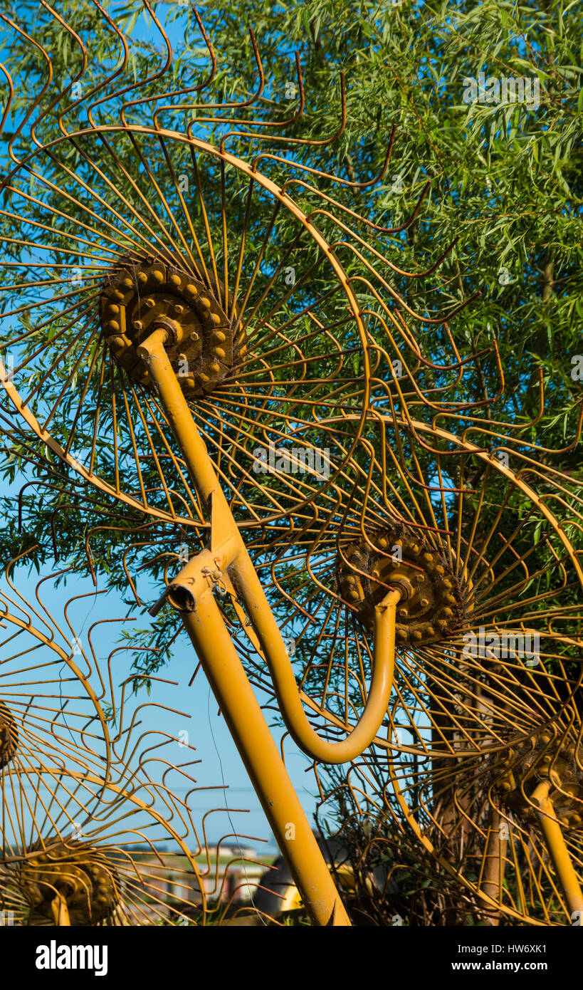 Some yellow hay rake wheels standing up Stock Photo - Alamy