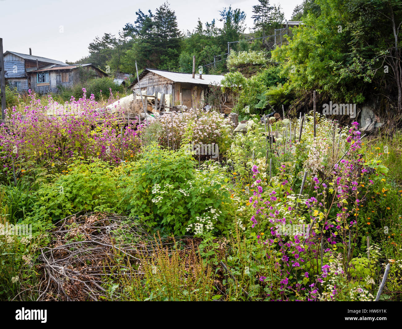 Caleta tortel chile hi-res stock photography and images - Alamy