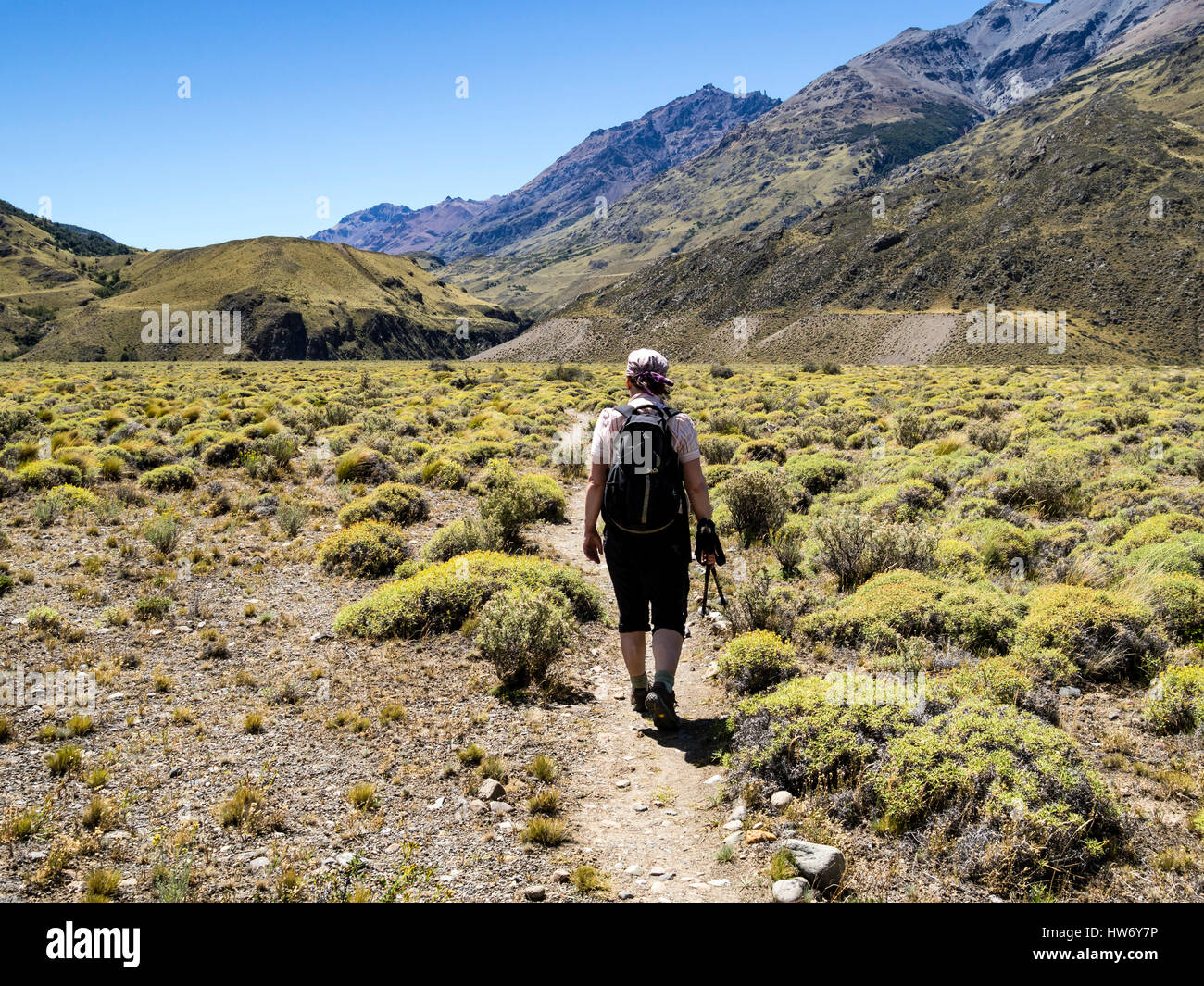Woman on hiking trail 'Aviles loop', Park Patagonia, east of Cochrane ...