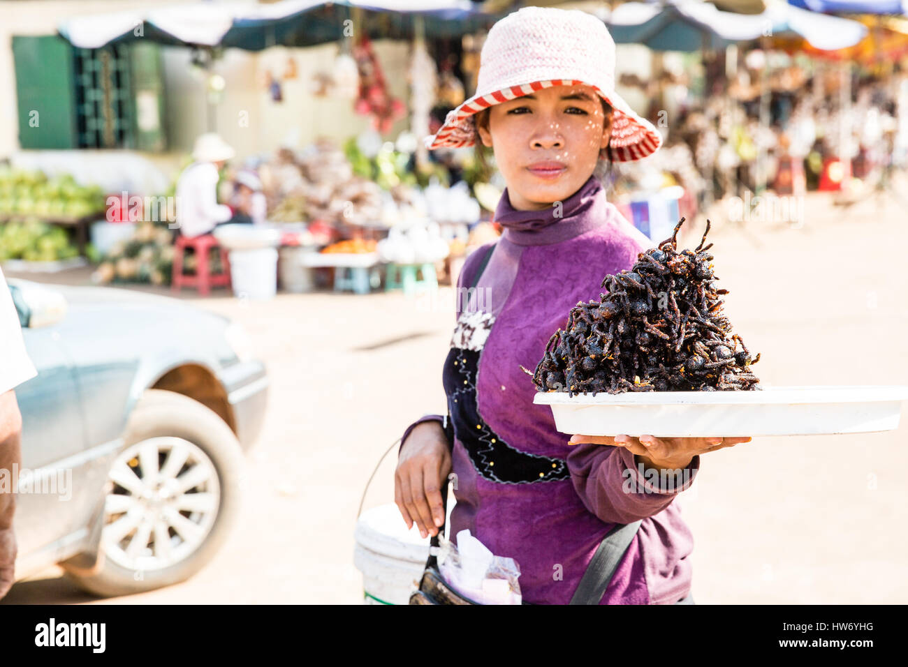 fried tarantulas for sale in Skuon village, Cambodia Stock Photo - Alamy