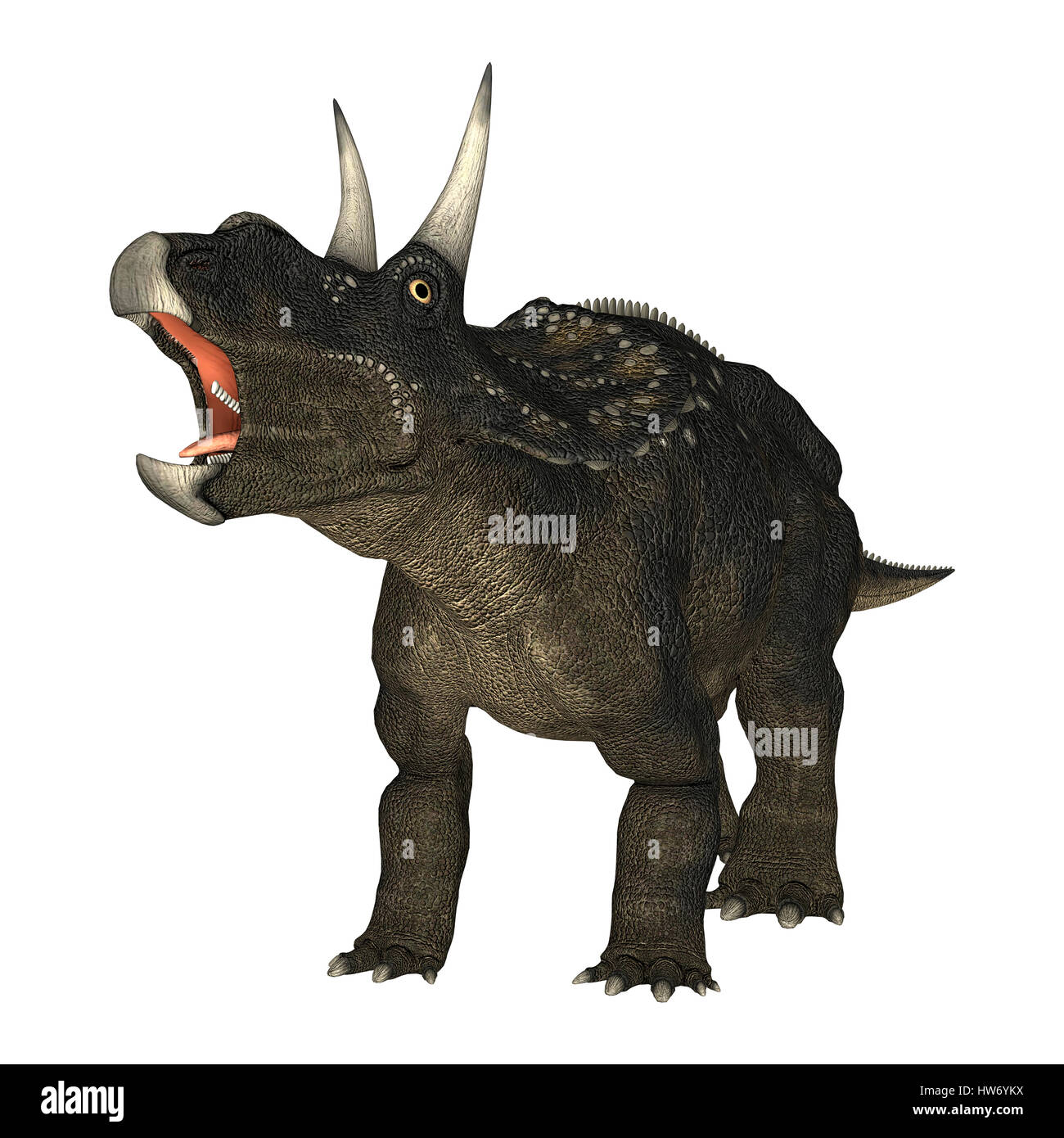 3D rendering of a dinosaur Diceratops isolated on white background ...