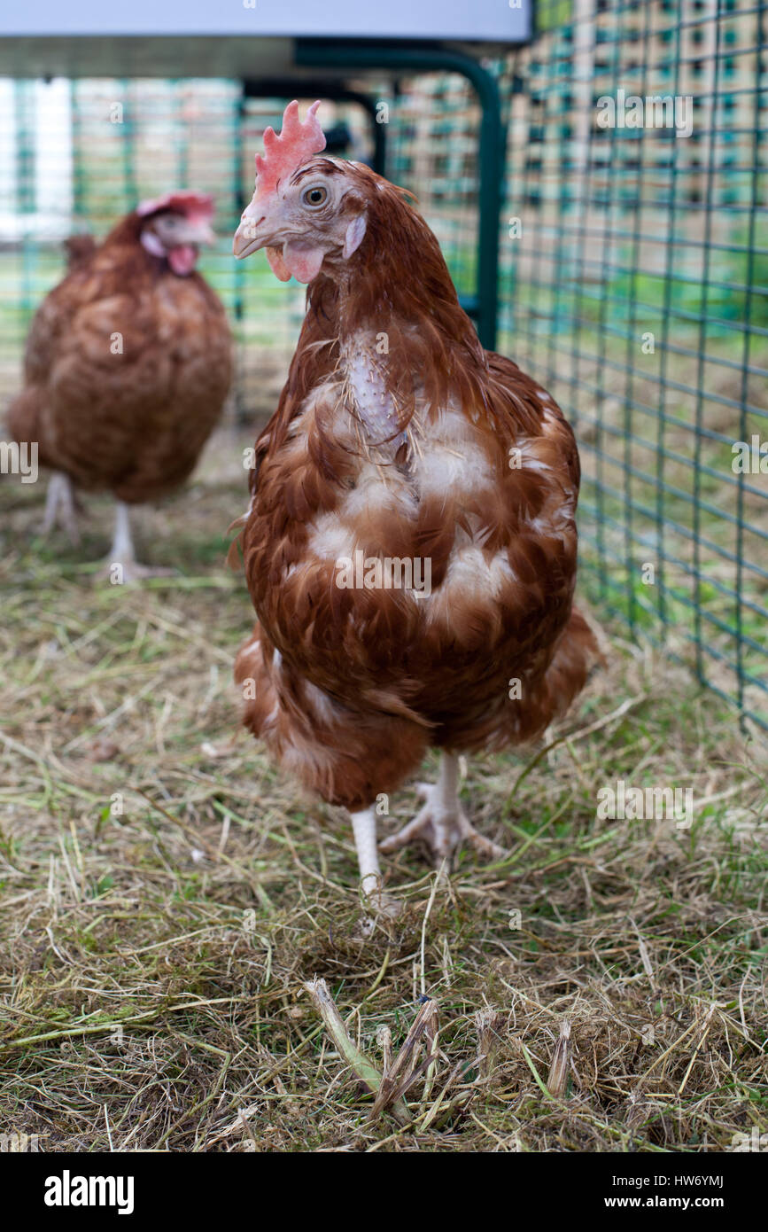 Ex battery hi-res stock photography and images - Alamy