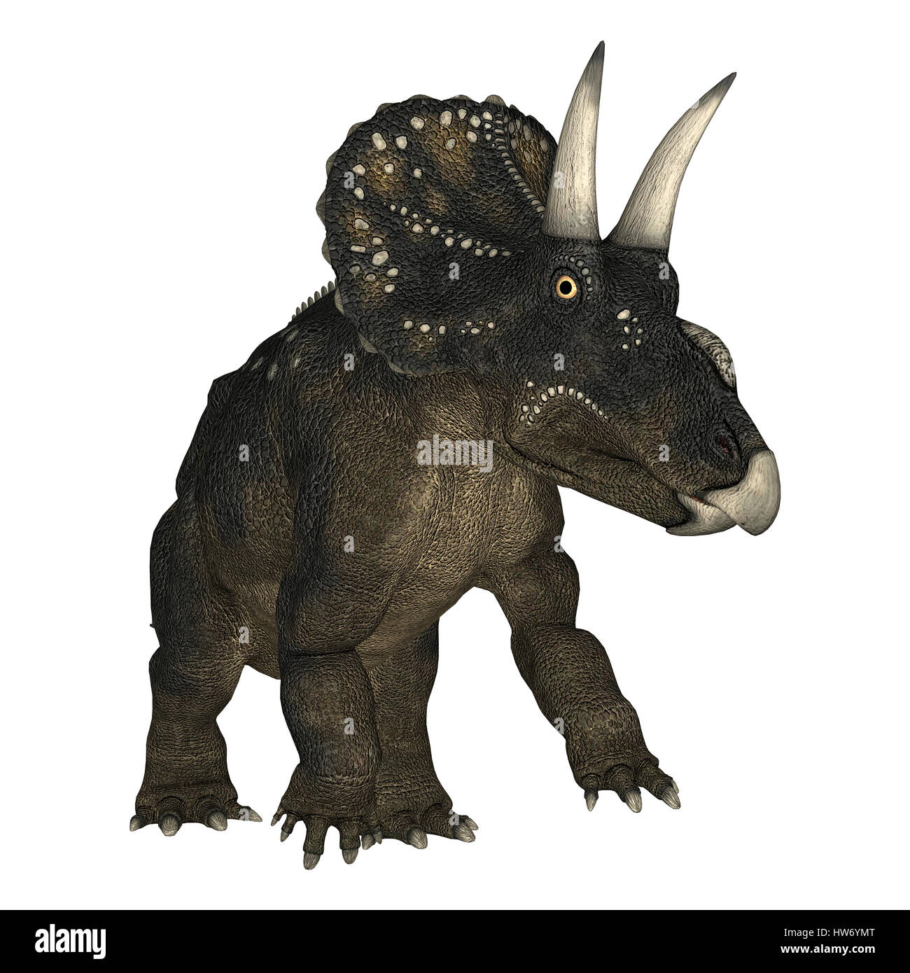 3D rendering of a dinosaur Diceratops isolated on white background ...