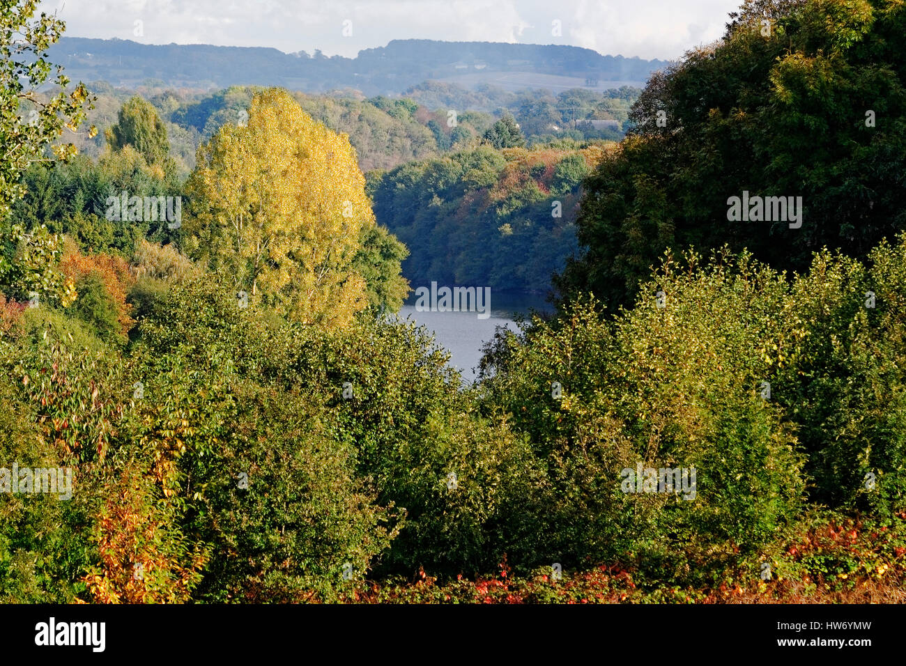 Valley of the river Mayenne in the fall, shores lined with trees (Oaks ...