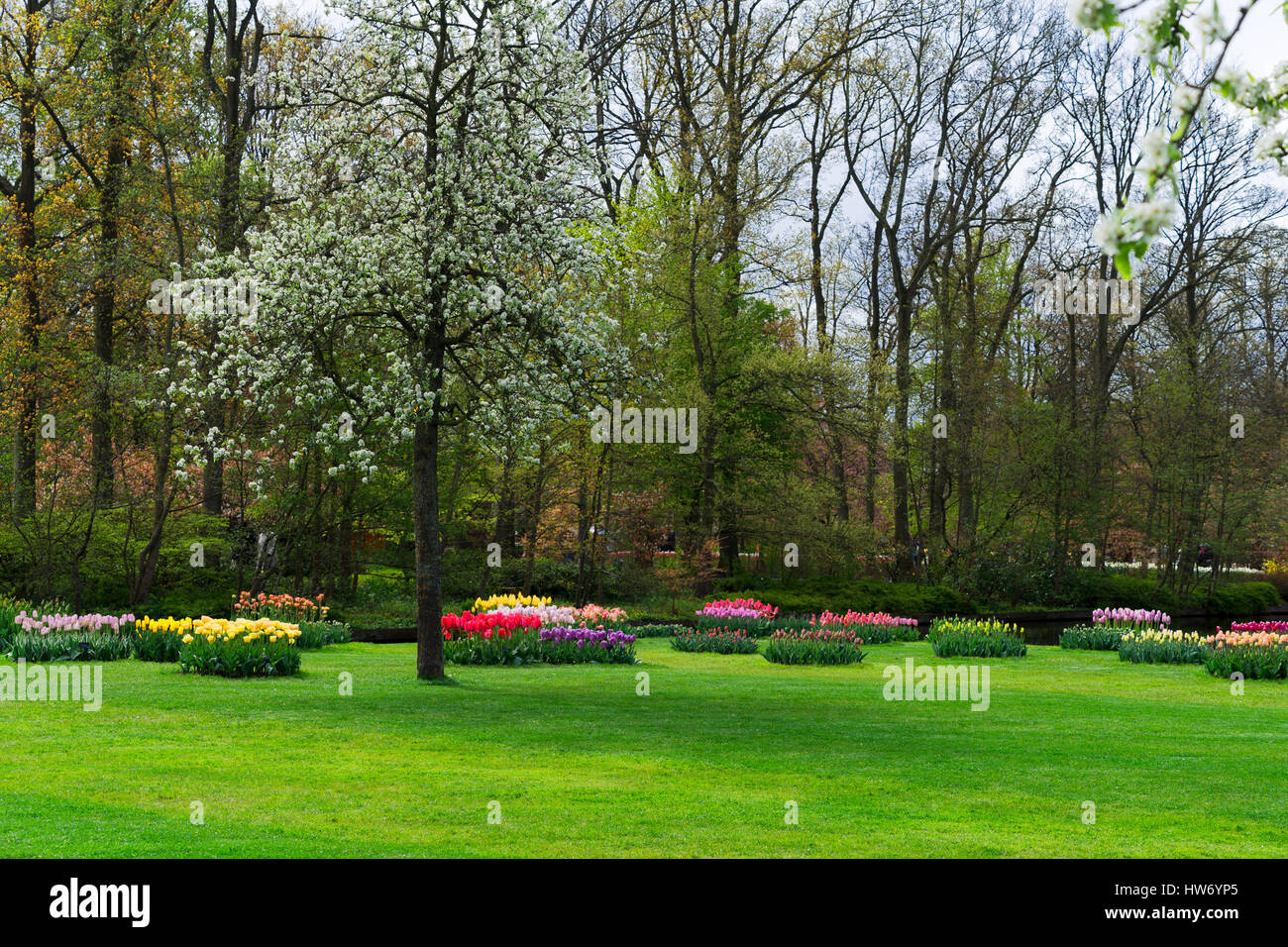 Formal spring garden Stock Photo - Alamy