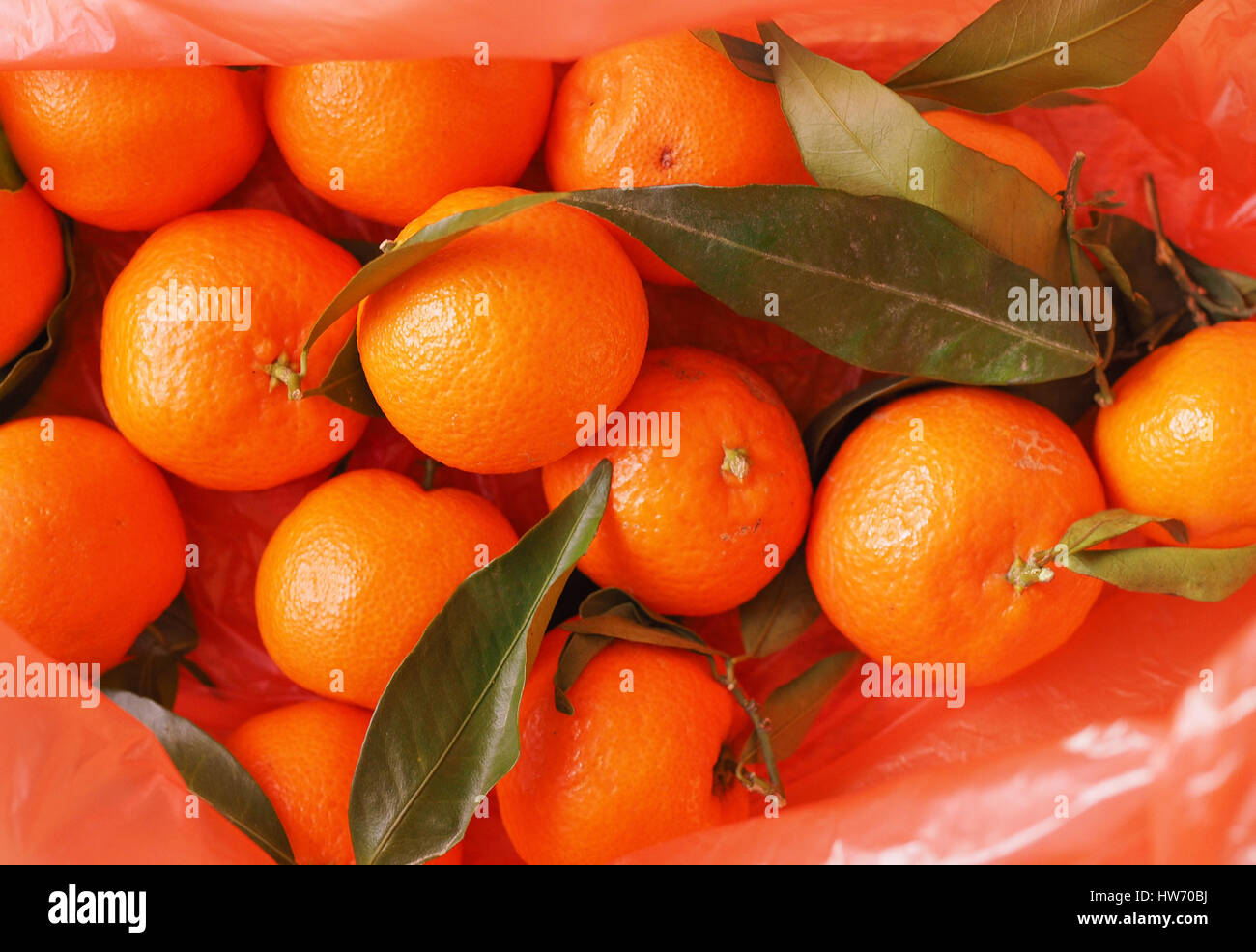 orange tangerine mandarin (Citrus tangerina) fruit vegetarian food ...