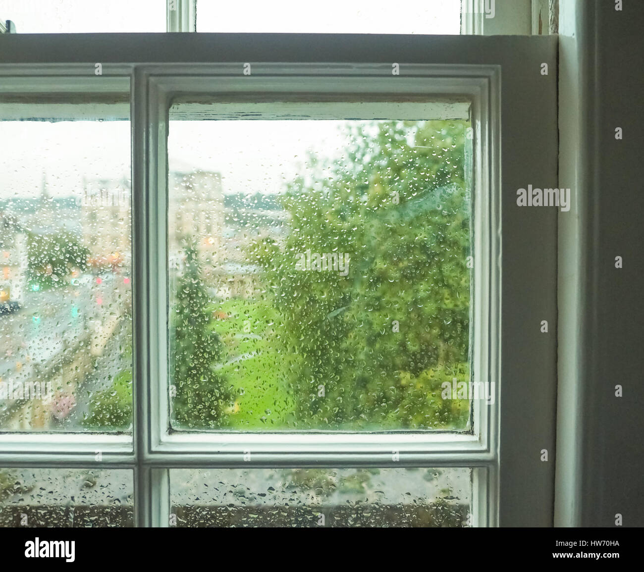 Wet window pane with rain water droplets and greenery background Stock Photo - Alamy