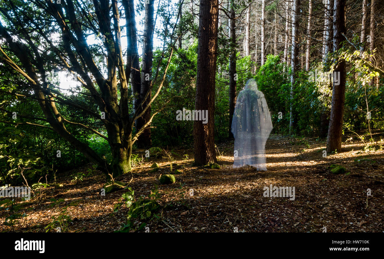 Image of Jesus walking through a forest towards the bright light Stock ...