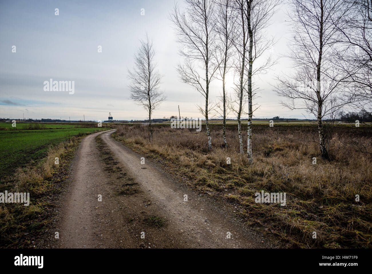 the road ahead. countryside in late autumn, trees and shadows Stock ...