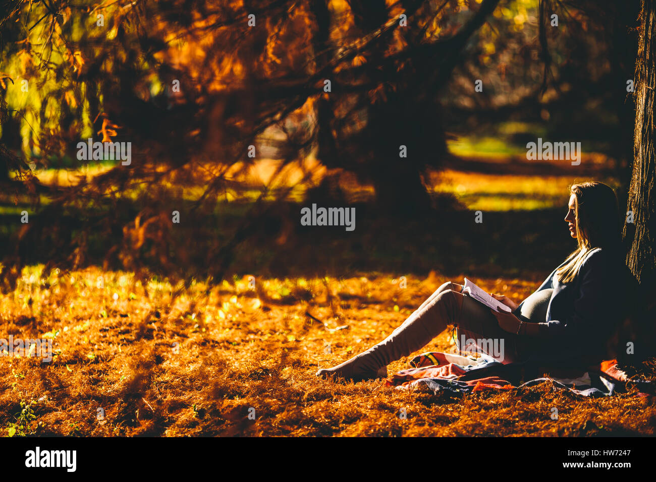 Woman under tree relaxing book hi-res stock photography and images - Alamy