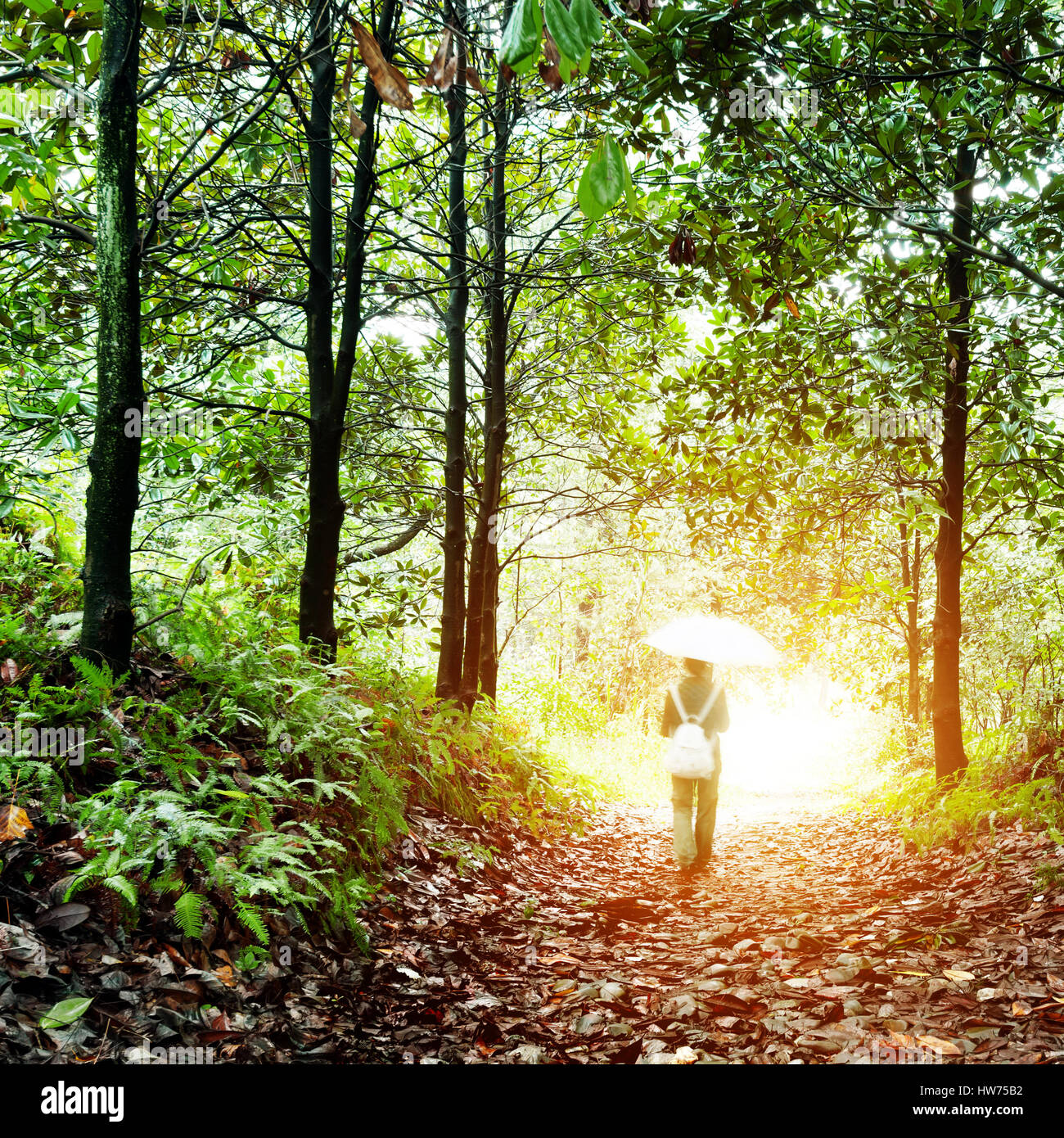 Solitude concept - lonely sad woman in the woods Stock Photo - Alamy
