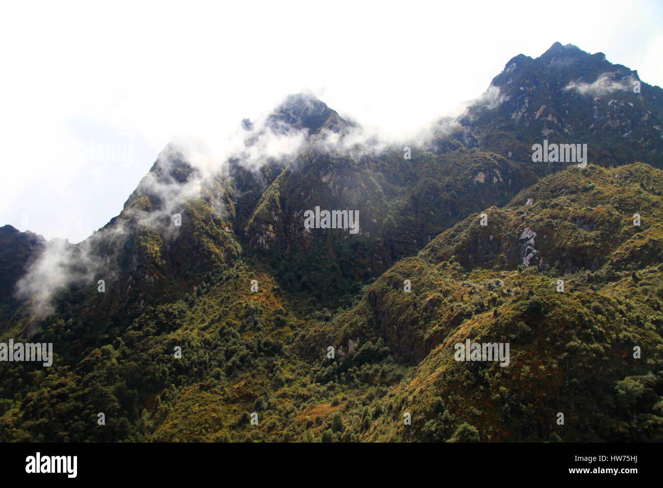 Scenery along the Inca Trail in Peru Stock Photo - Alamy
