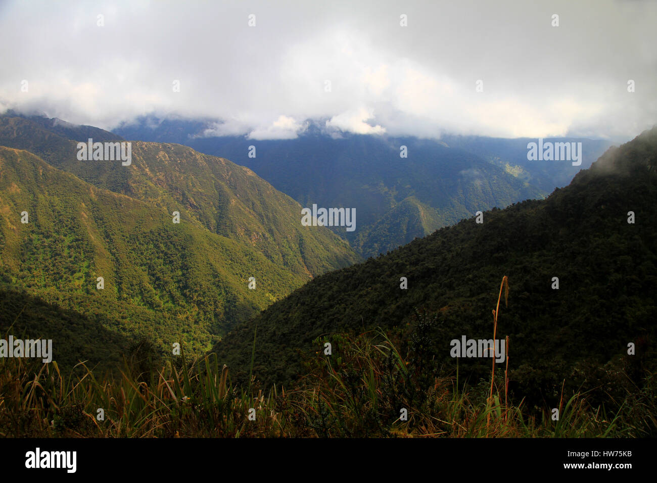 Scenery along the Inca Trail in Peru Stock Photo - Alamy