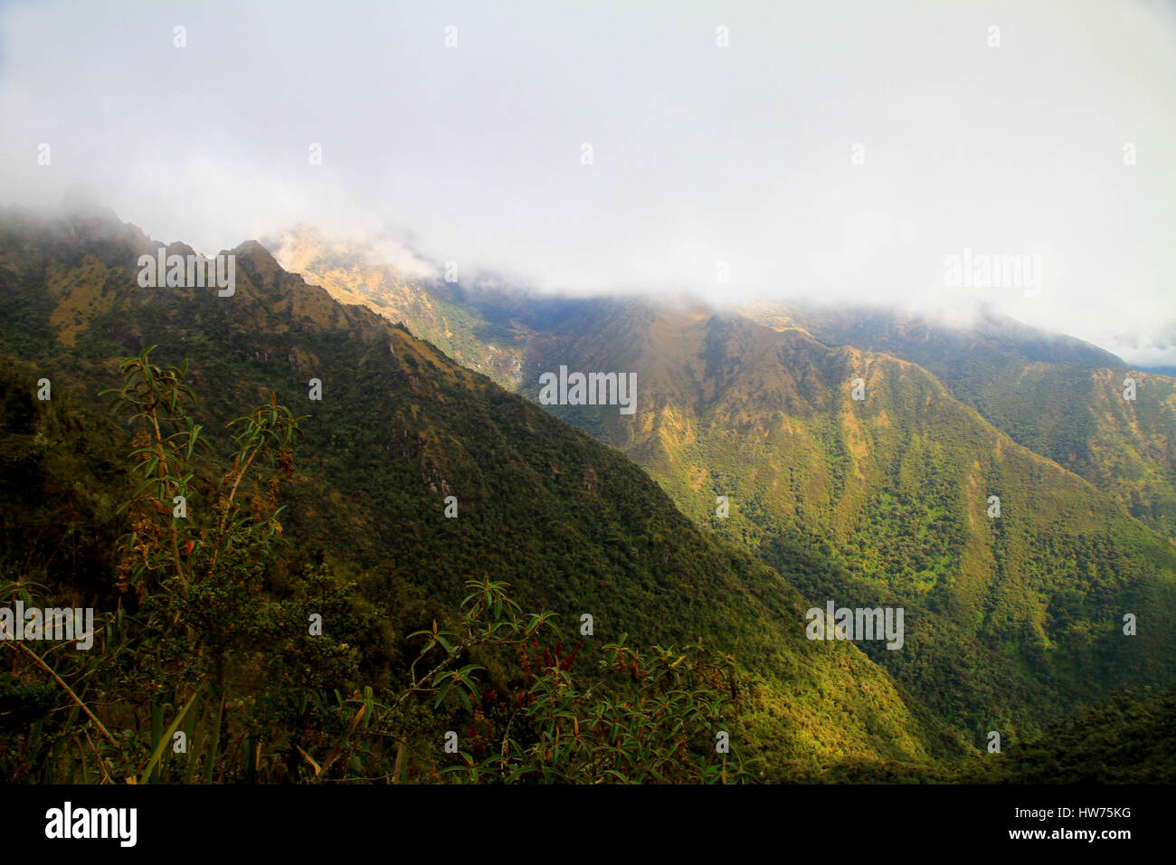Scenery along the Inca Trail in Peru Stock Photo - Alamy