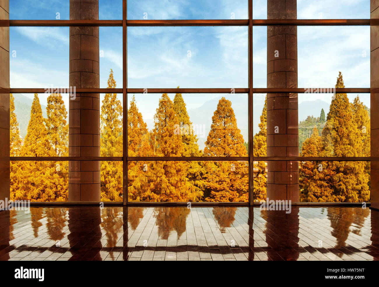 The internal structure of modern urban architecture Stock Photo - Alamy