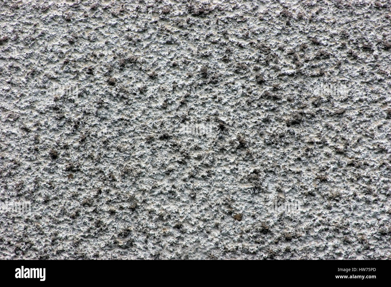 Grunge Gray Wall Stucco Texture, Detailed Plaster Pattern Background ...