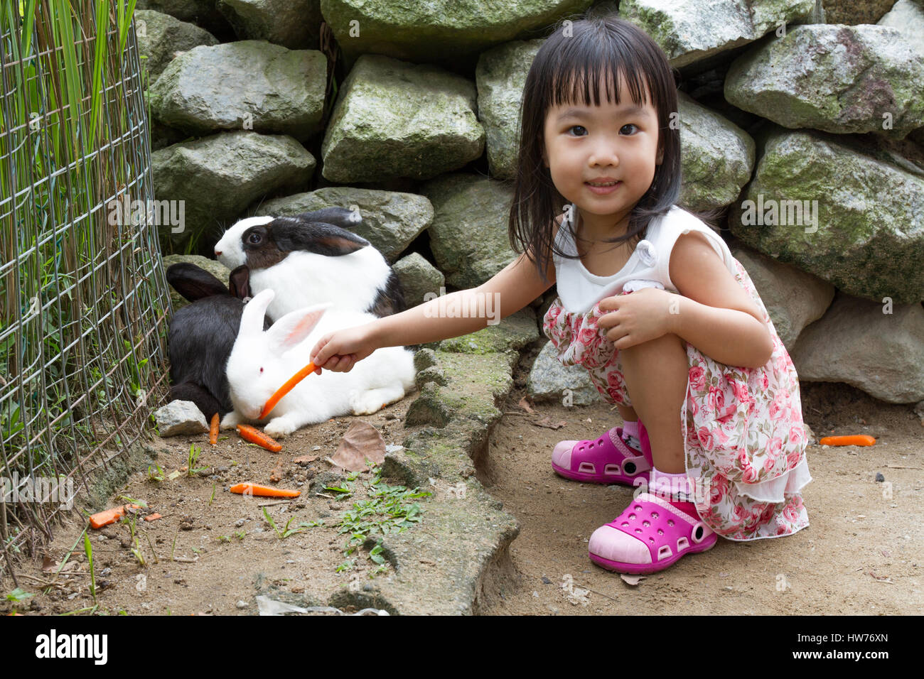 Asian Little Chinese Girl Feeding a Rabbit with Carrot in the Farm ...