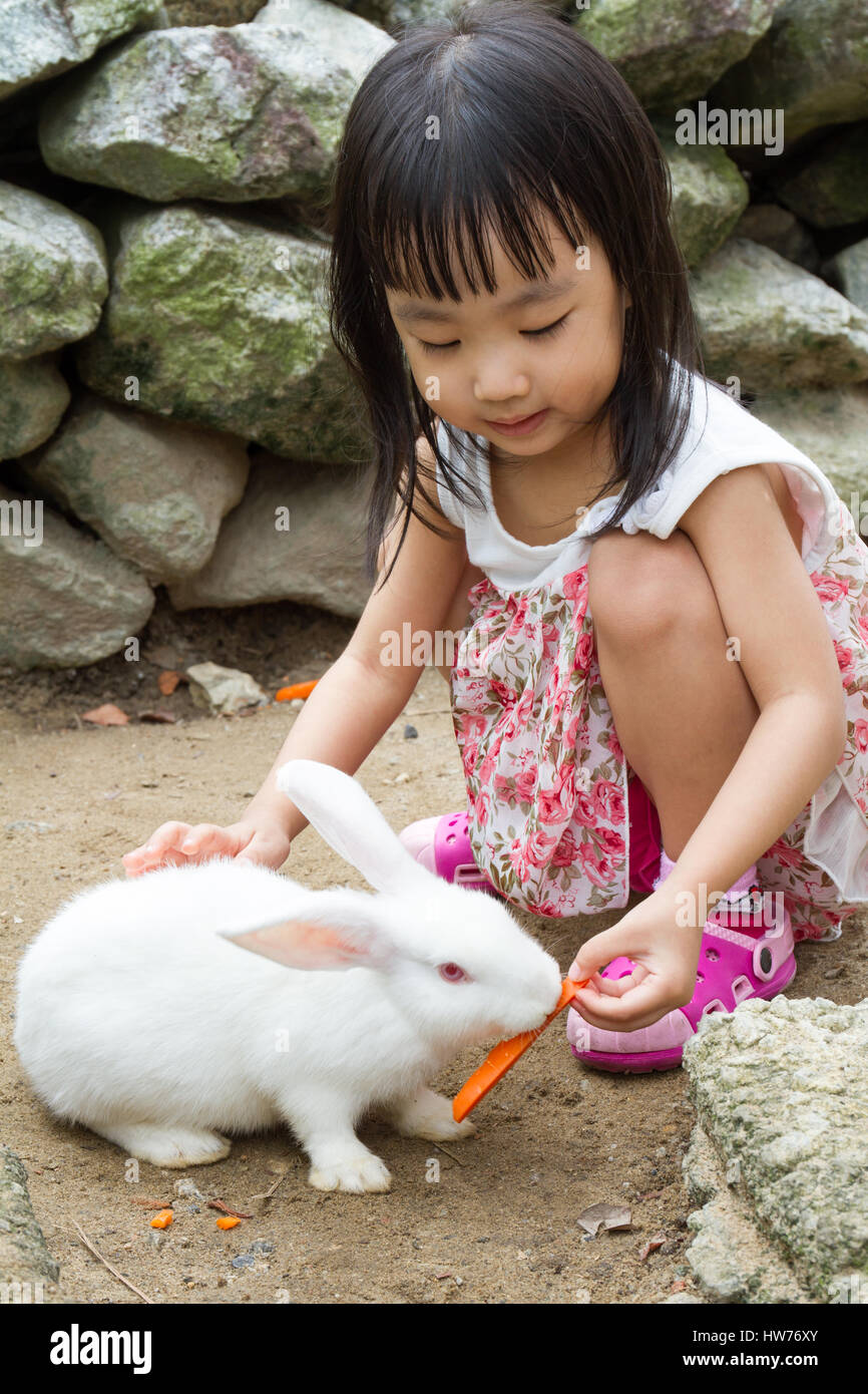 Asian Little Chinese Girl Feeding a Rabbit with Carrot in the Farm ...