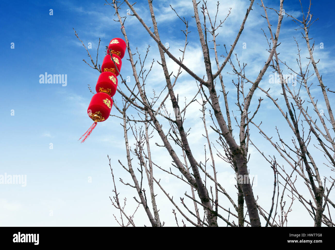 Lanterns hanging from trees hi-res stock photography and images - Alamy