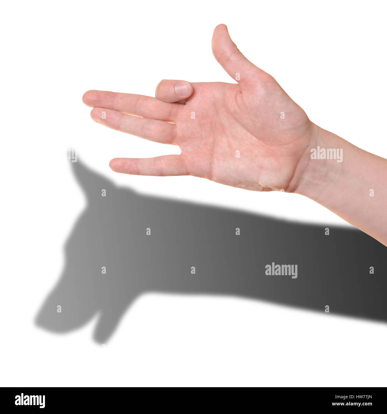 Hand gesture like dog face isolated on white background Stock Photo - Alamy
