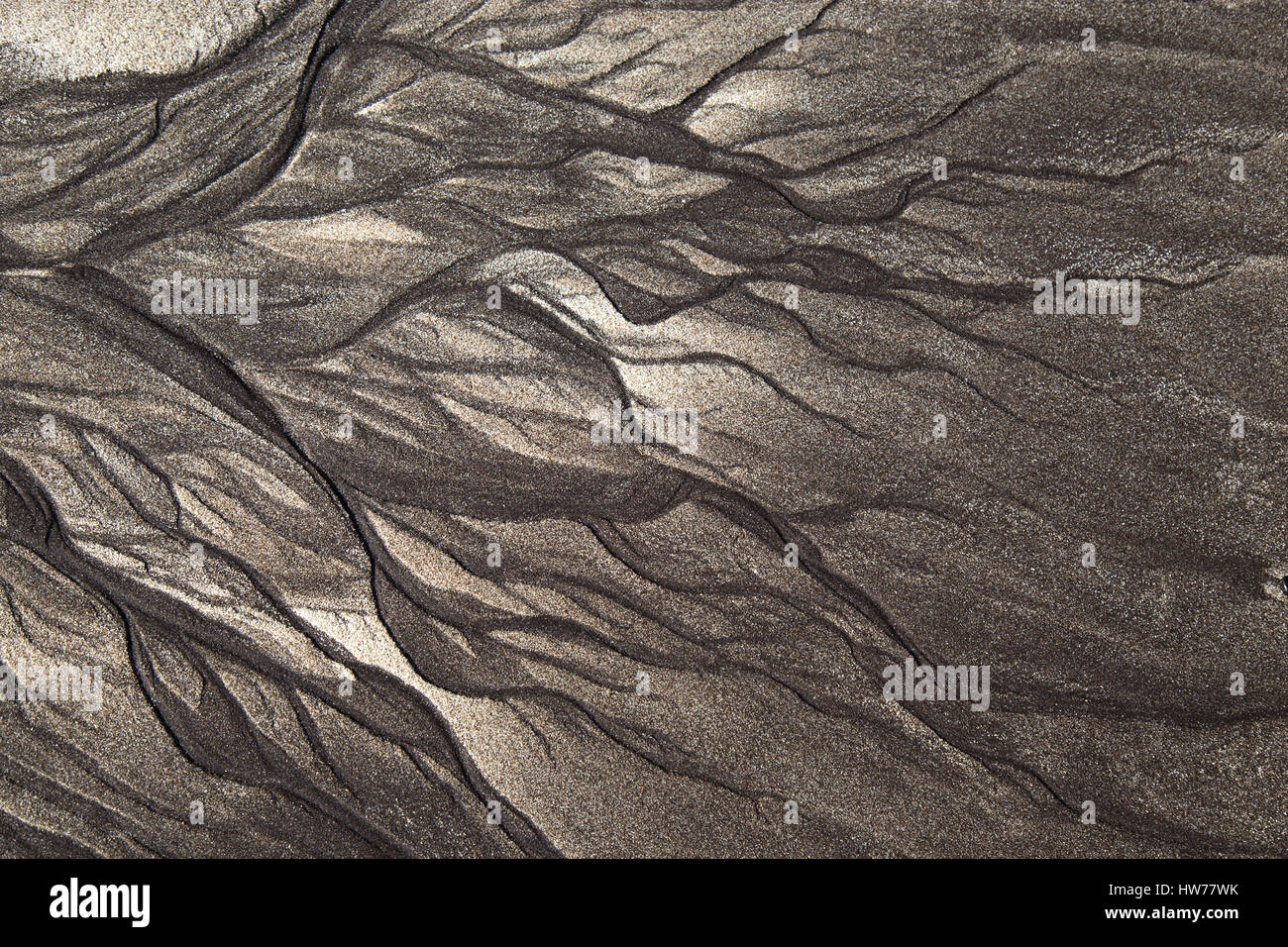 Incredible sand "paintings" made by the ocean. Ebb Tide and the black ...