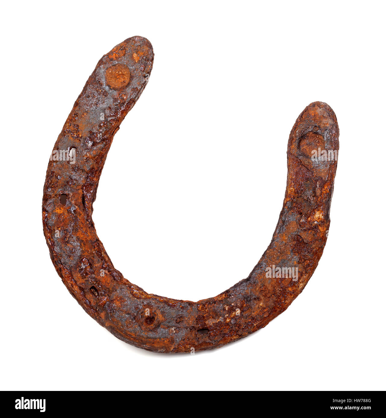 Side view hoof Cut Out Stock Images & Pictures - Alamy