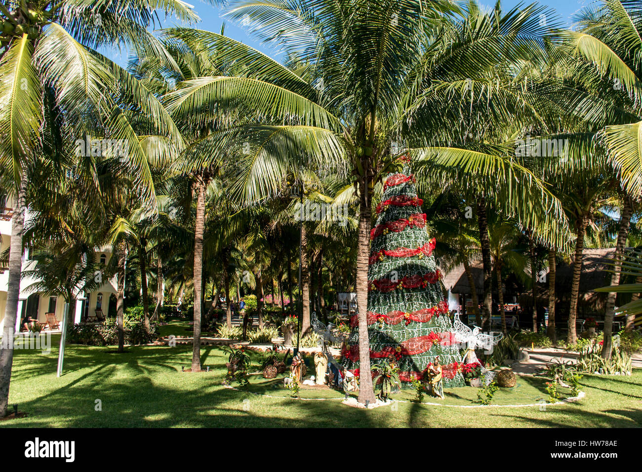 Public Christmas tree with red band between palms in the sun in cancun ...