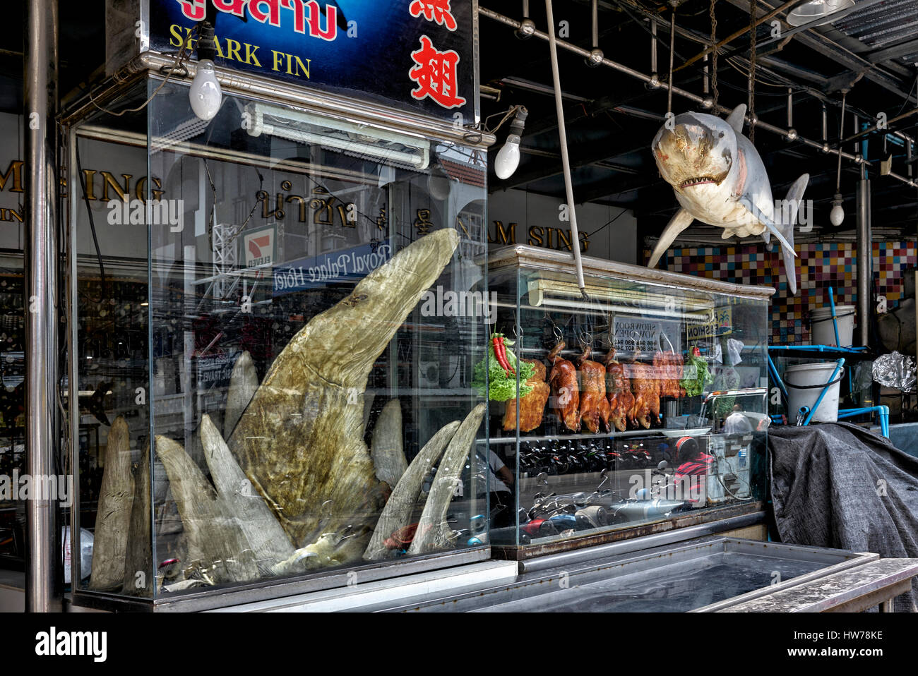 Thai restaurant specialising in Shark Fin soup. An Asian delicacy ...