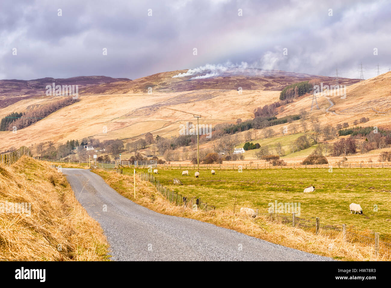 Burning heather and smoke on a Scottish Hillside. Done each year on ...