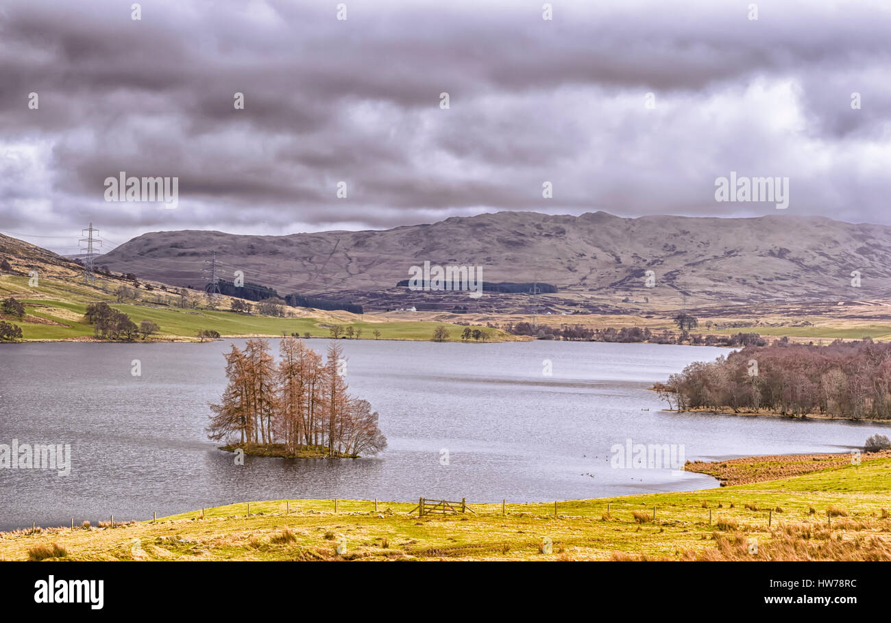 Trees in loch freuchie hi-res stock photography and images - Alamy