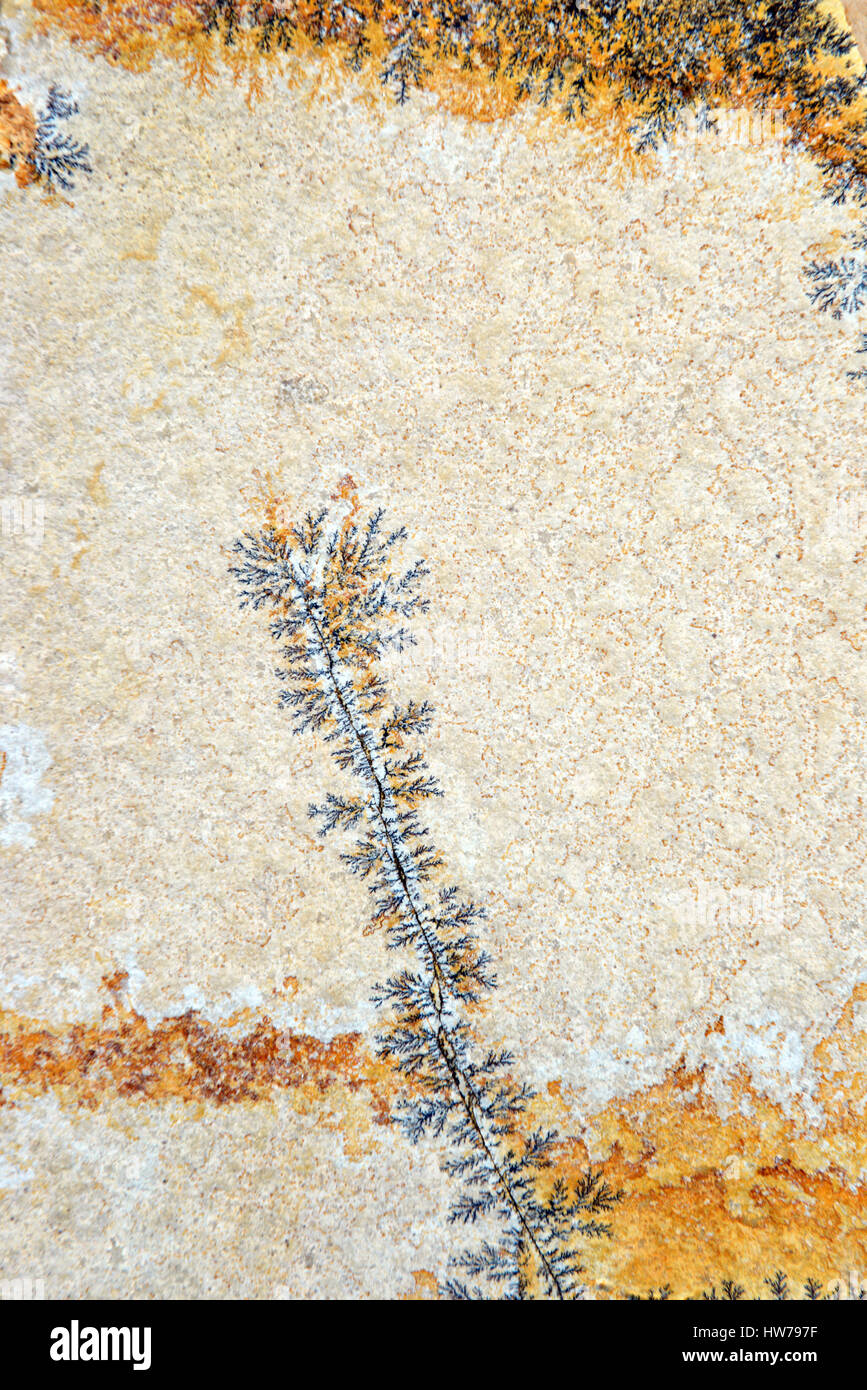limestone with Manganese dendrites Stock Photo - Alamy