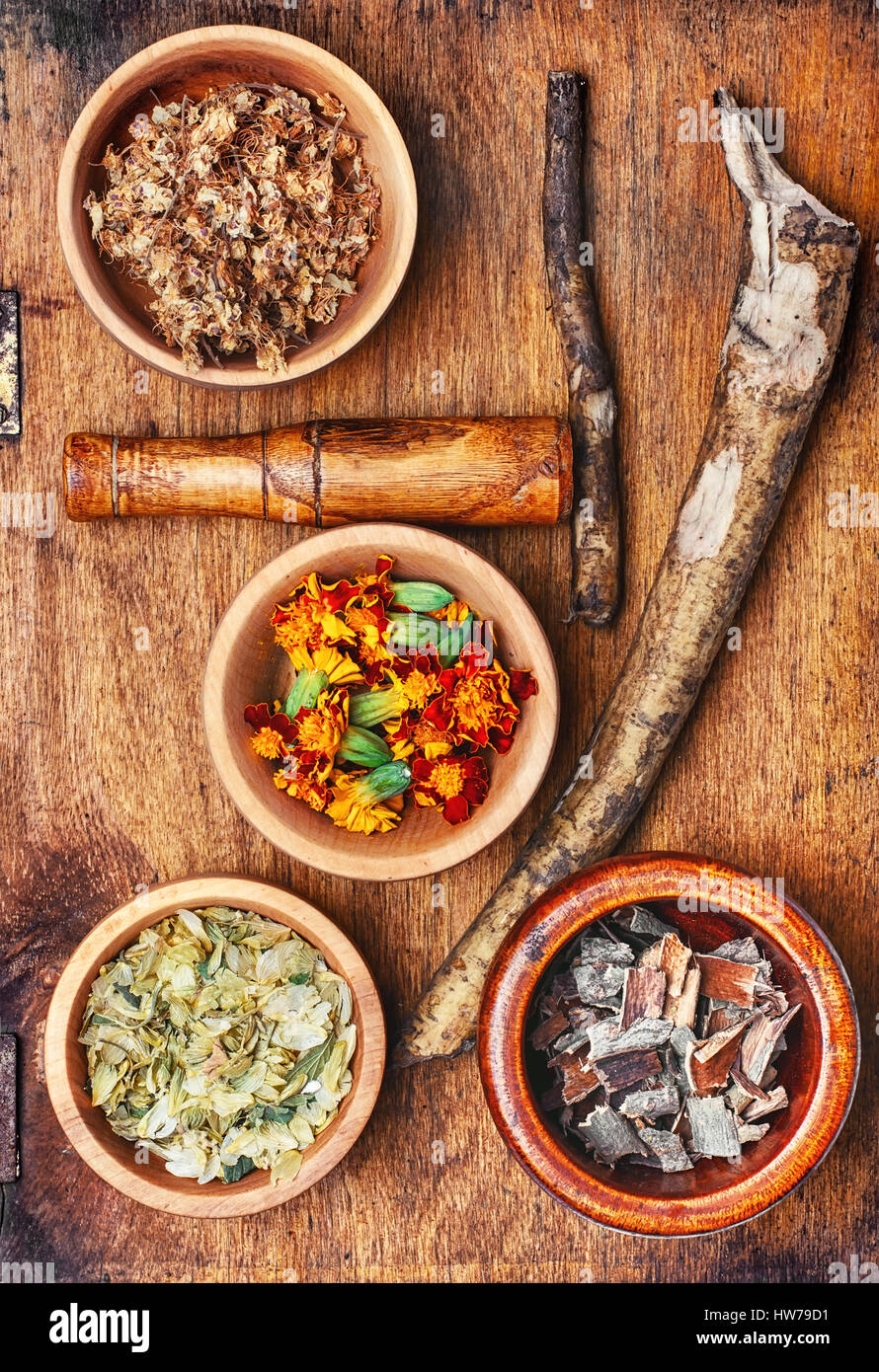 drug collection Linden,hops and oak in wooden mortar Stock Photo - Alamy