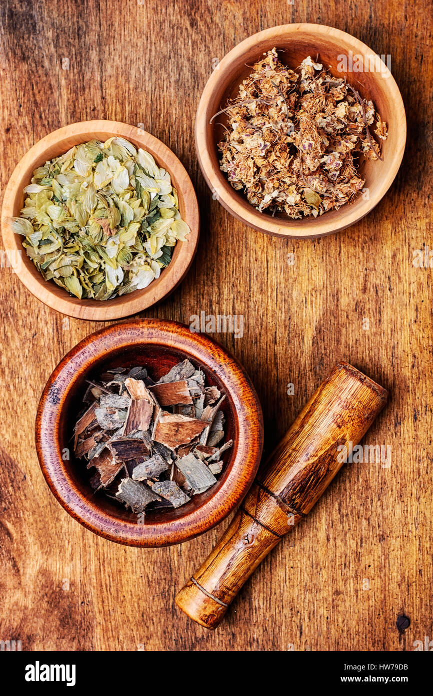 drug collection Linden,hops and oak in wooden mortar Stock Photo - Alamy