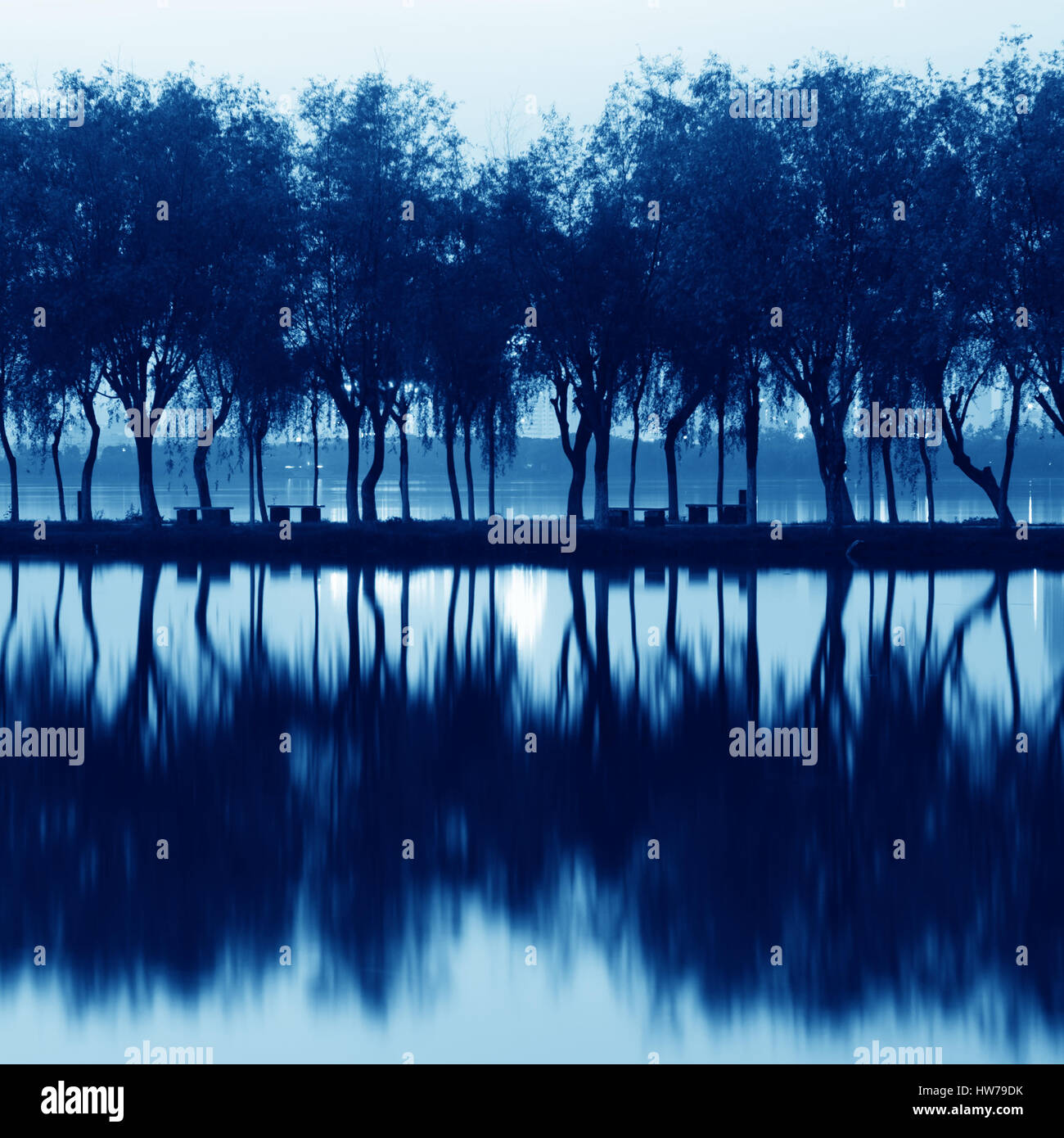 Lake of the night, the reflection of the trees Stock Photo - Alamy