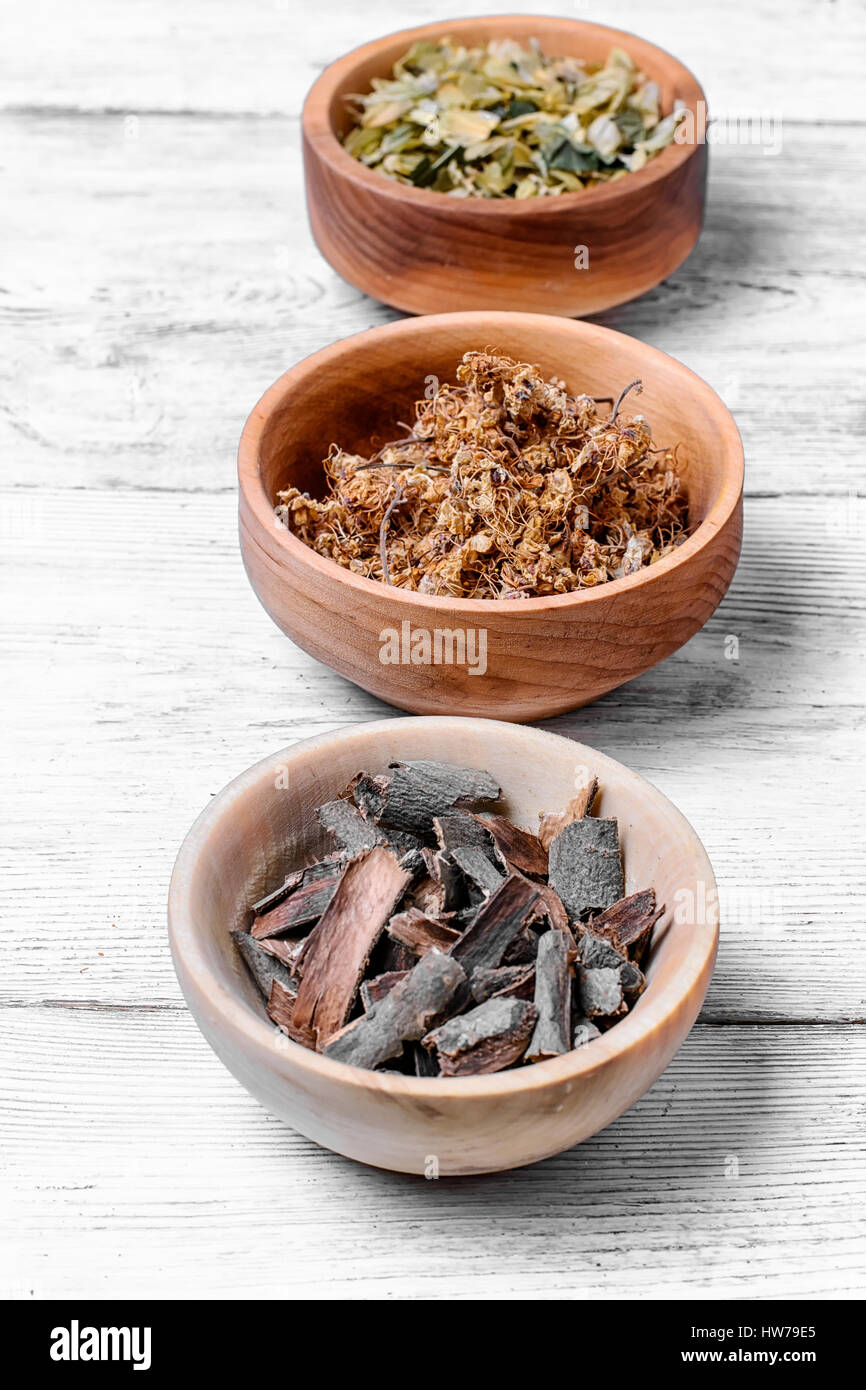 drug collection Linden,hops and oak in wooden mortar Stock Photo - Alamy