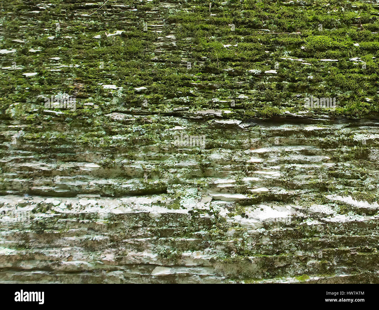 Sedimentary rock on white background hi-res stock photography and ...