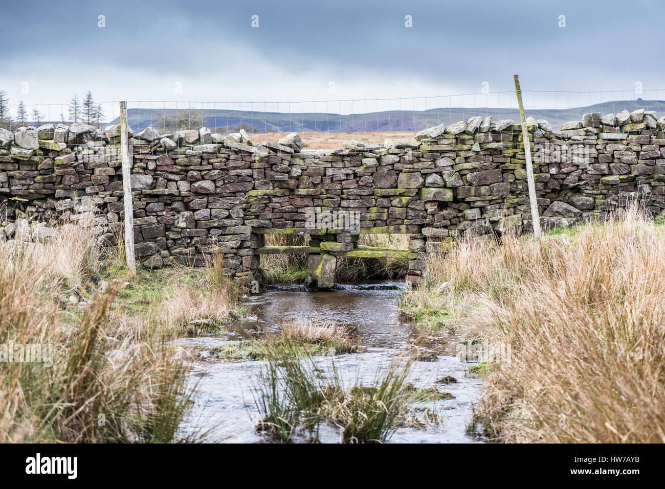 Drystone wall passing over a beck (stream), with water smout, near ...