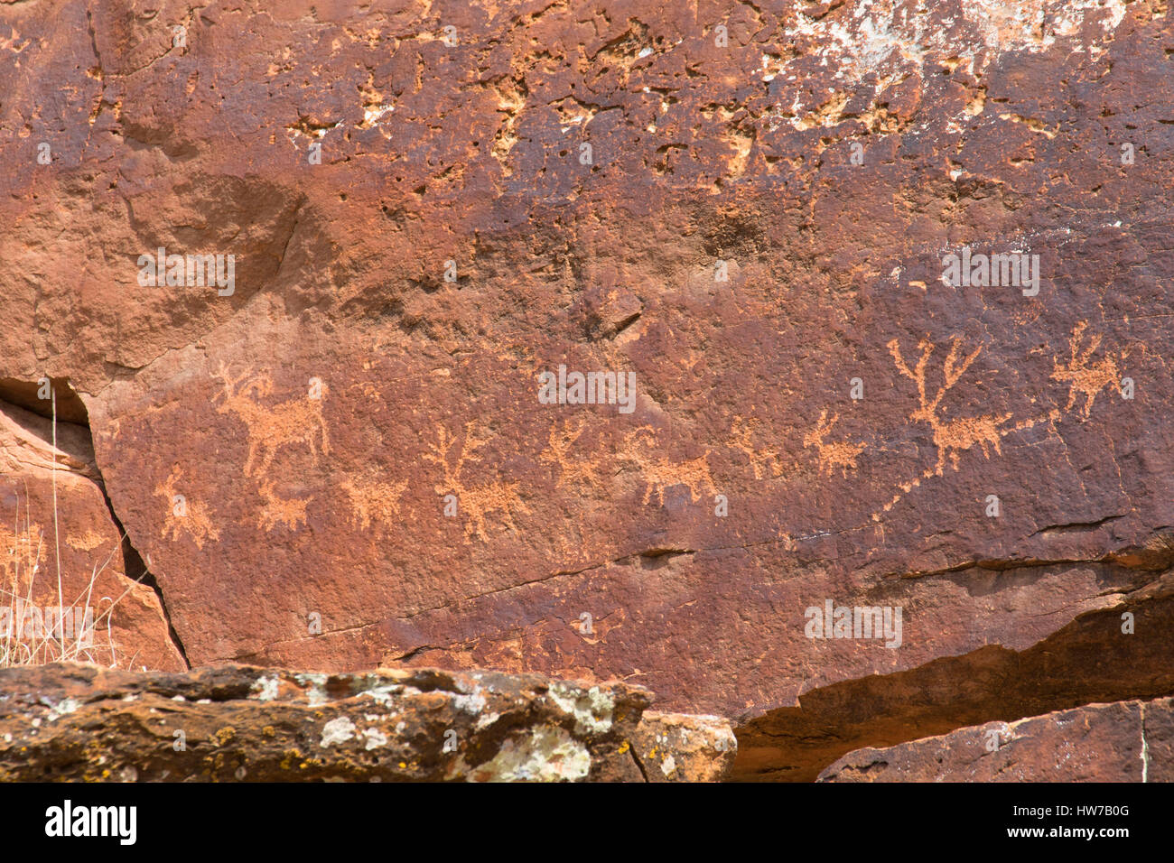 Petroglyphs at Daddy Canyon, Nine Mile Canyon National Backcountry ...