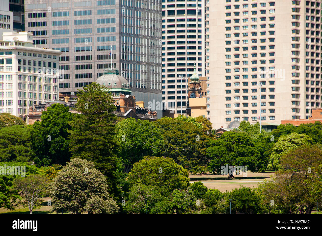 Botanical Garden - Sydney - Australia Stock Photo - Alamy