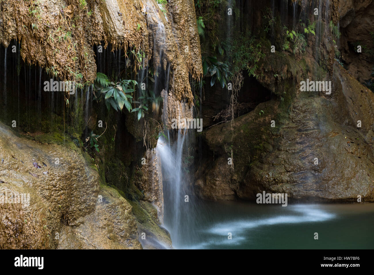 Closeup waterfall in nature,Evergreen forest scenic landscape Stock ...