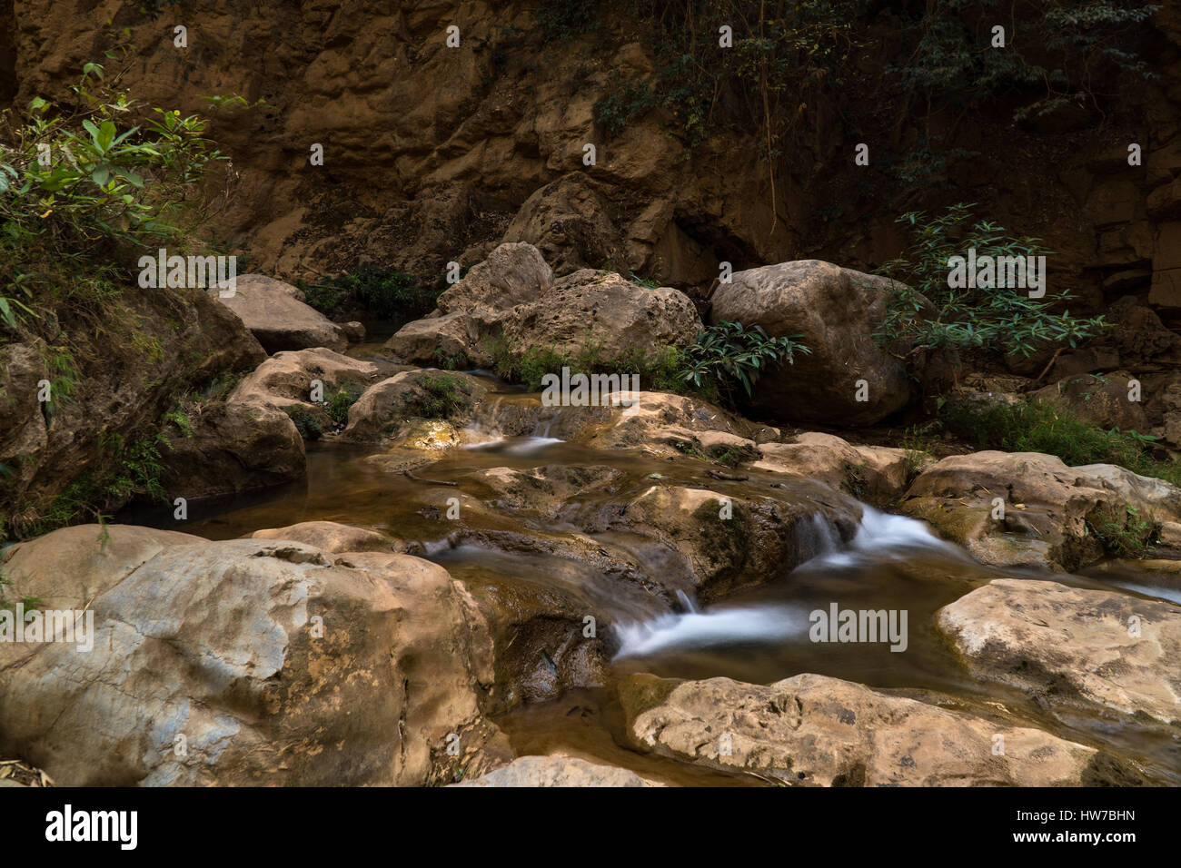 Closeup waterfall in nature,Evergreen forest scenic landscape Stock ...