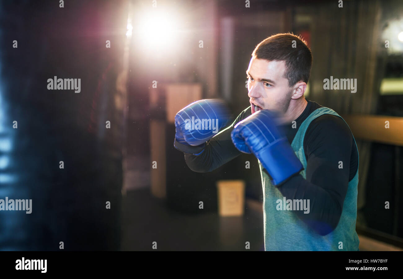 Young athlete boxer training with a punching bag Stock Photo - Alamy