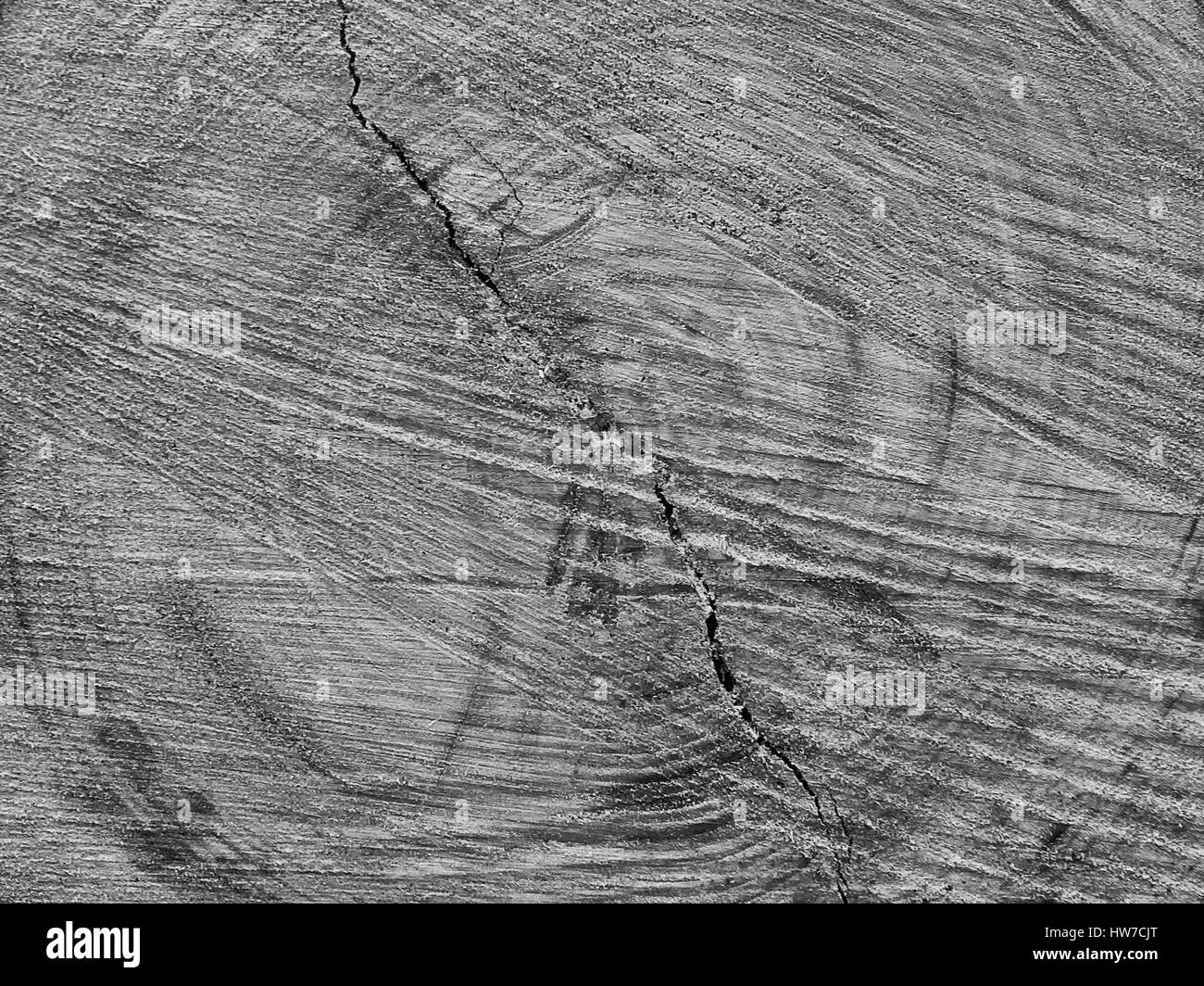 Mid growth Black and White Stock Photos & Images - Alamy