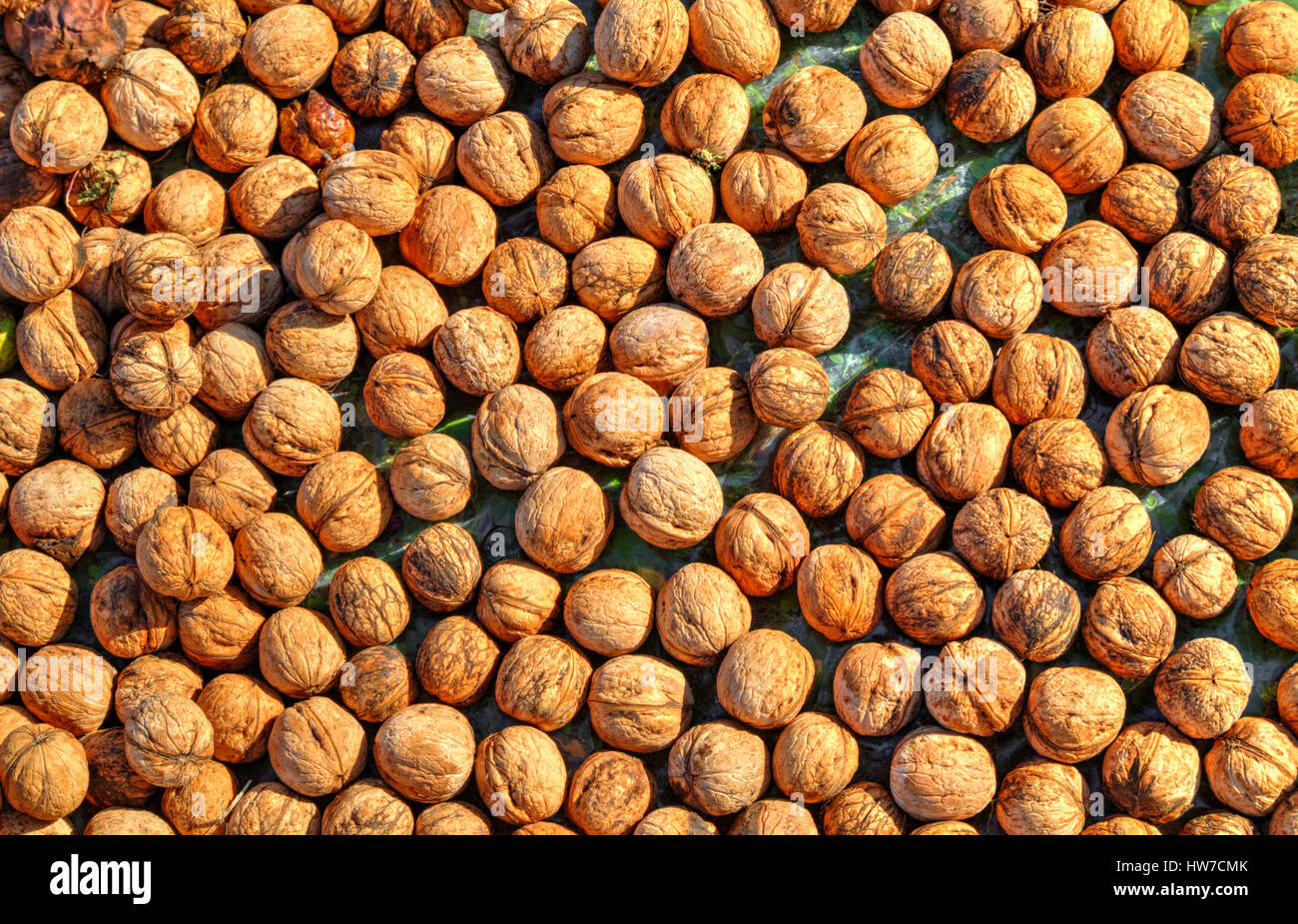 Colorful walnuts background Stock Photo - Alamy
