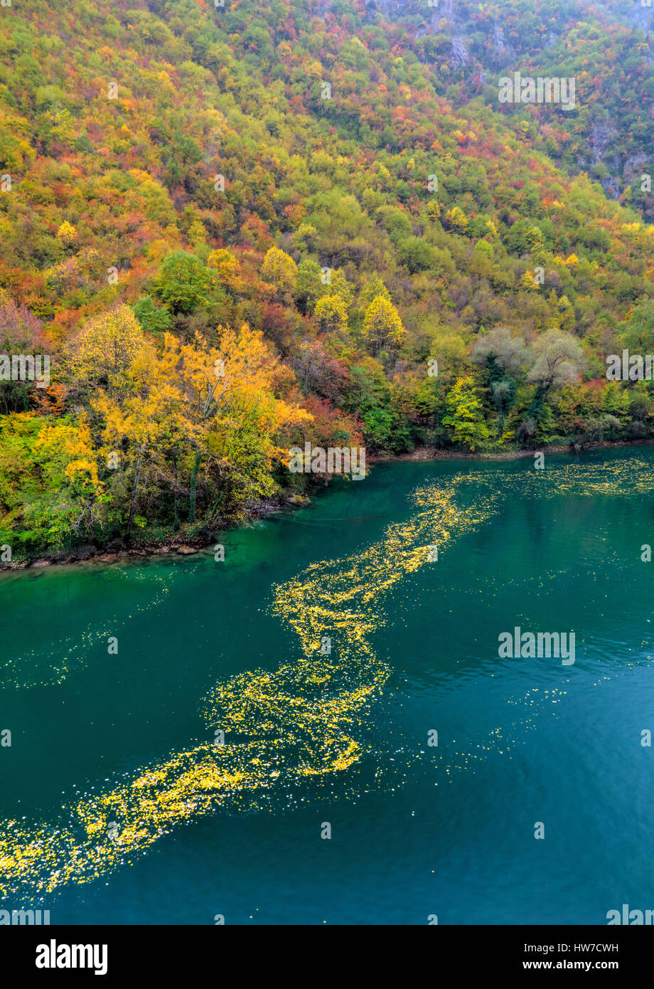 Beautiful landscape with river in the mountain and colorful autumn ...