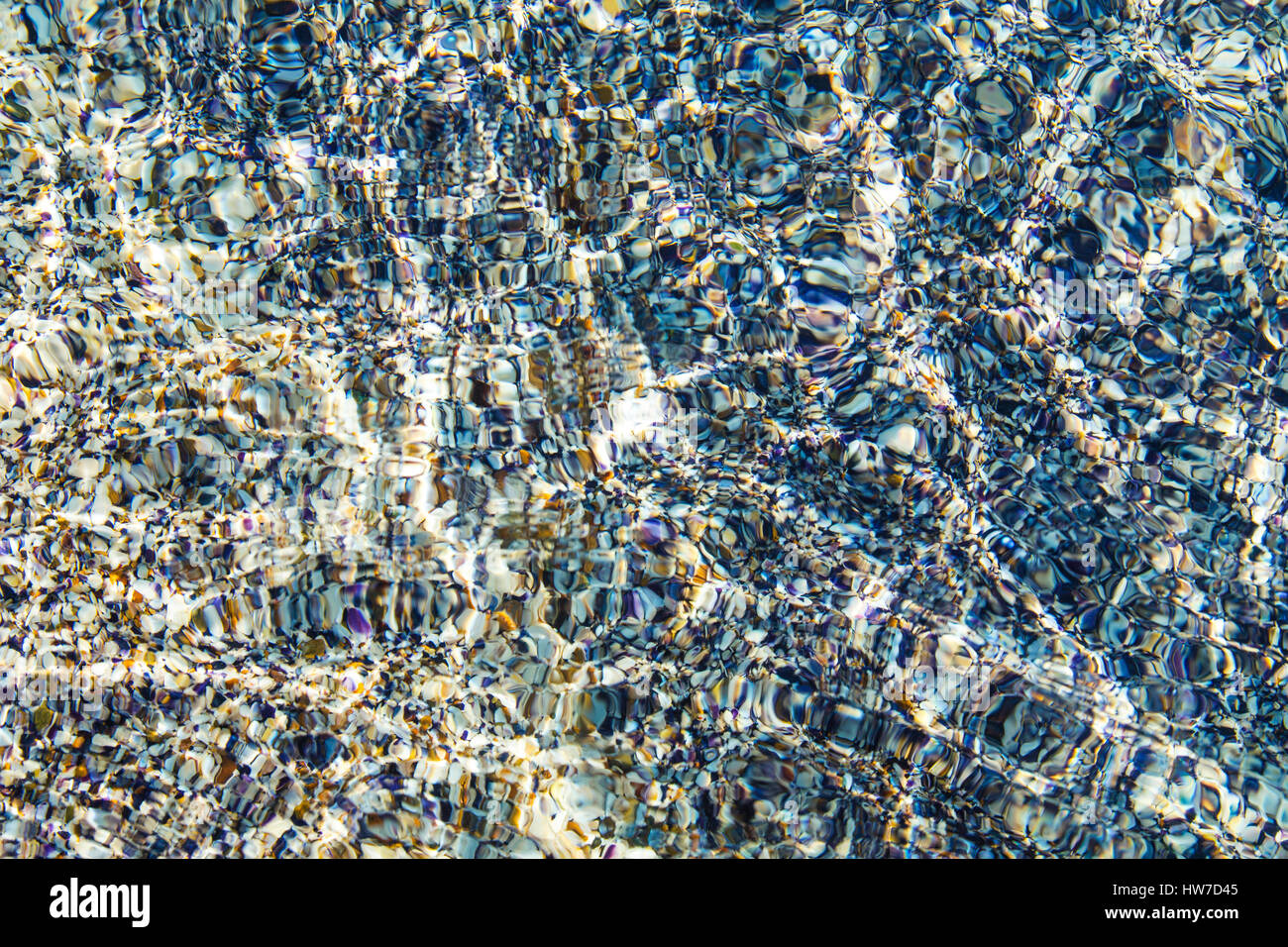 Abstract colorful background of seashells under sea water Stock Photo ...